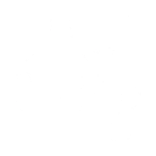 Almas Movers International