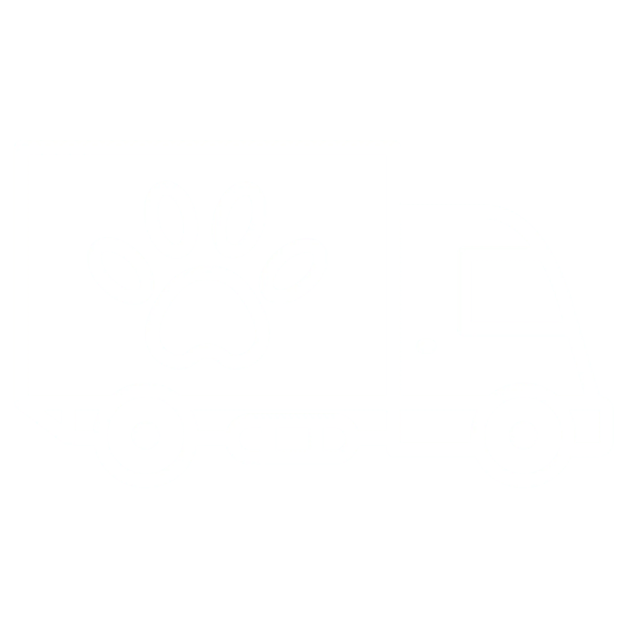 Almas Movers International